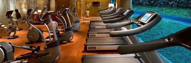 Review: DBS Insignia credit card - The MileLion