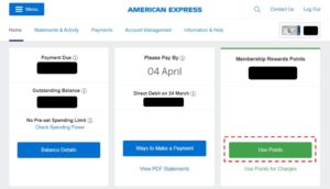 How to check credit card points breakdowns - The MileLion