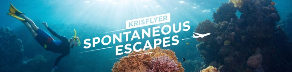 Scoot KrisFlyer Spontaneous Escapes for July 2026 announced - The MileLion