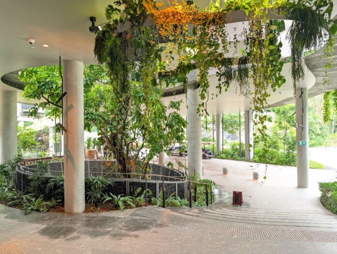 Mandai Rainforest Resort by Banyan Tree Review: Critically endangered ...